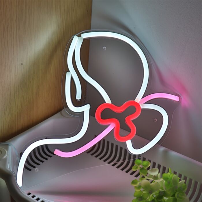 Creative Girls Drawing LED Wall LED Neon Sign