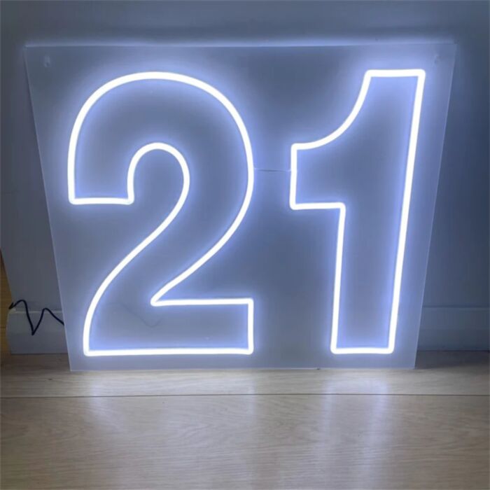 Customized Number 21 LED Neon Sign