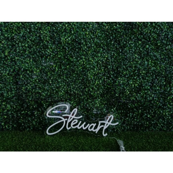 Stewwart White LED Neon Sign