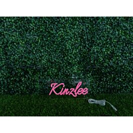 Kinzlee Red LED Neon Sign