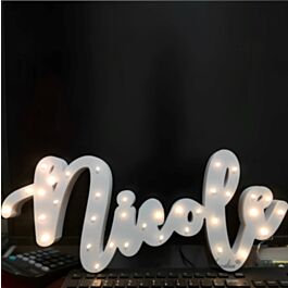 Steel Marquee Letter Name Nicole White Art High-End Custom Zinc Metal ...