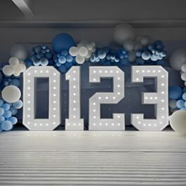 Steel Marquee Letter Number 0123 Cool White Birthday Decor High-End ...