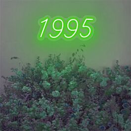 Number 1995 LED Neon Sign