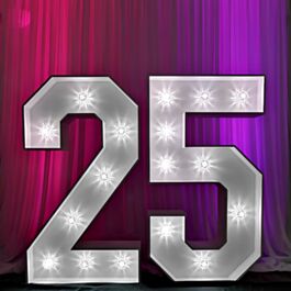 Steel Marquee Letter Number 25 High-End Custom Zinc Metal Marquee Light ...