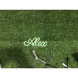 Personalize Custom Alex LED Neon Sign