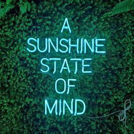 Sunshine Neon Sign MNE11549